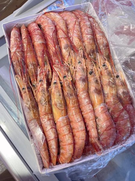 阿根廷红虾多少钱一只_阿根廷红虾价格影响因素-第2张图片-山城妙识