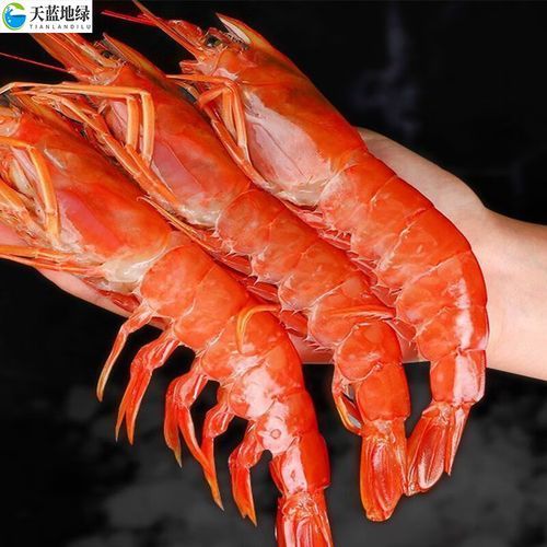阿根廷红虾多少钱一只_阿根廷红虾价格影响因素-第1张图片-山城妙识