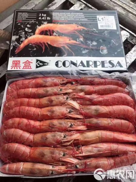 阿根廷红虾多少钱一只_阿根廷红虾价格影响因素-第3张图片-山城妙识