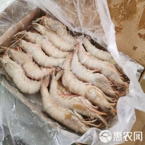 麻虾怎么做好吃_麻虾产地在哪里-第3张图片-山城妙识