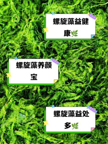 螺旋藻一天吃几次最好_什么时候吃效果最佳-第1张图片-山城妙识