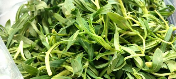 面条菜饺子馅怎么做_面条菜饺子馅做法大全-第3张图片-山城妙识