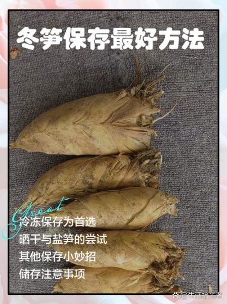冬笋冷冻保存方法_冬笋冷冻能放多久-第3张图片-山城妙识
