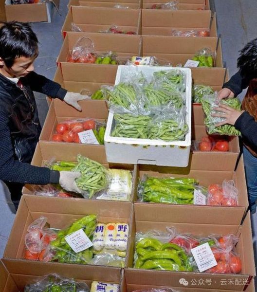 食材配送公司哪家好_食材配送公司怎么选-第2张图片-山城妙识