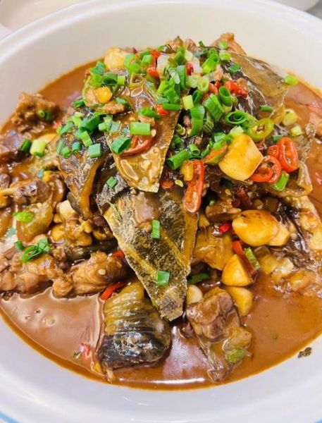 红烧甲鱼怎么做最正宗_红烧甲鱼的做法窍门-第1张图片-山城妙识