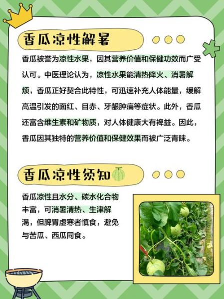 香瓜的功效与作用_香瓜怎么吃最营养-第3张图片-山城妙识