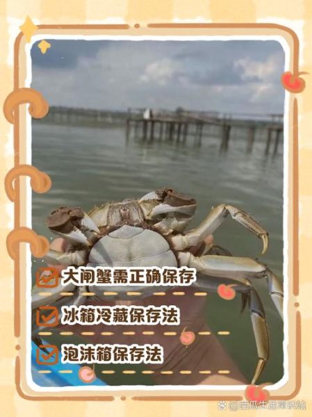 螃蟹买回来要怎么保存_活蟹能放冰箱吗-第2张图片-山城妙识