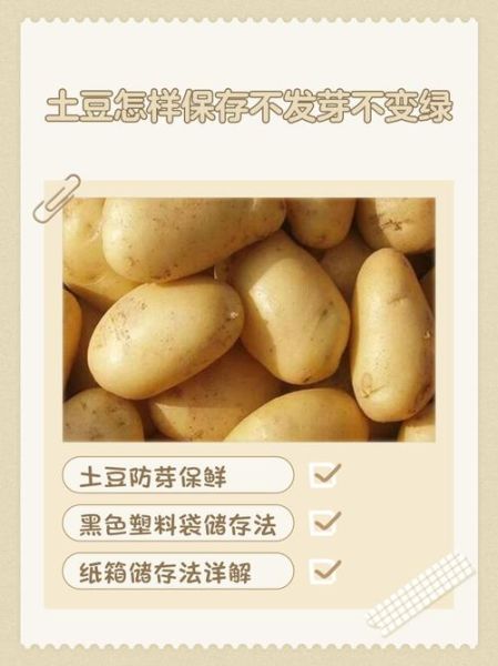 马铃薯发芽能吃吗_如何储存不发芽-第2张图片-山城妙识