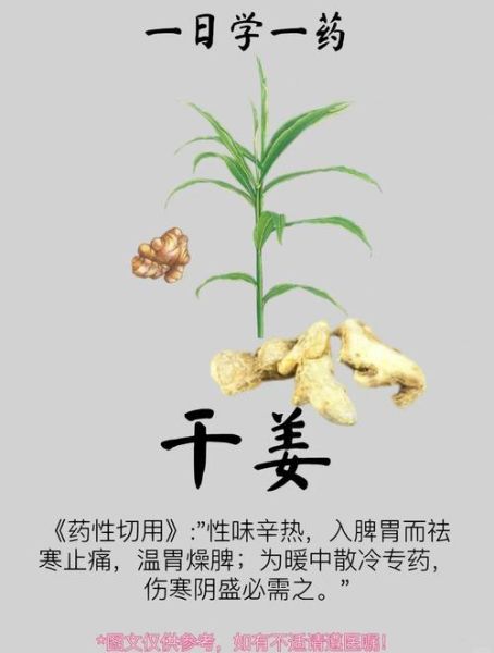 干姜的功效与作用_干姜怎么吃效果最好-第2张图片-山城妙识