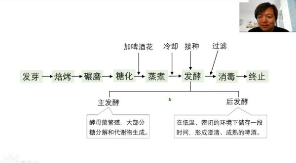 酵母菌发酵原理_酵母菌发酵需要哪些条件-第3张图片-山城妙识