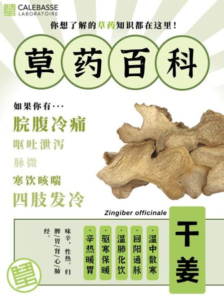干姜的功效与作用_干姜怎么吃效果最好-第3张图片-山城妙识