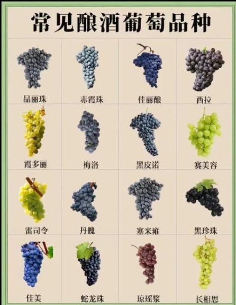 酿酒葡萄品种排名_哪个品种最受欢迎-第2张图片-山城妙识
