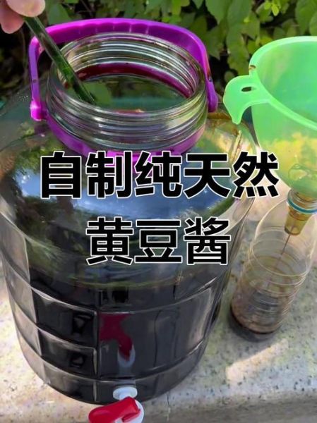 酱油怎么做_家庭自制酱油步骤-第2张图片-山城妙识 酱油怎么做_家庭自制酱油步骤-第2张图片-山城妙识
