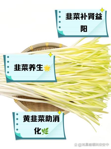 韭黄的营养价值有哪些_韭黄的功效与作用是什么-第3张图片-山城妙识