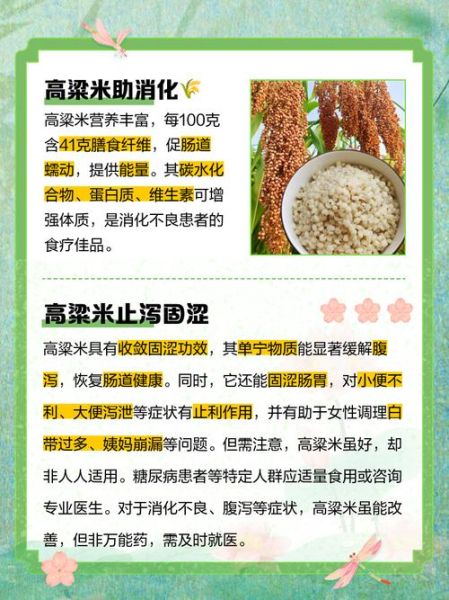 高粱米的功效与作用及禁忌_什么人不能吃高粱米-第1张图片-山城妙识