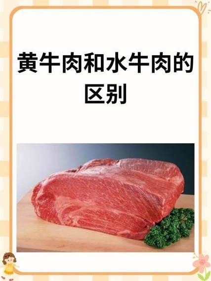 黄牛肉和普通牛肉的区别_哪个更好吃-第1张图片-山城妙识
