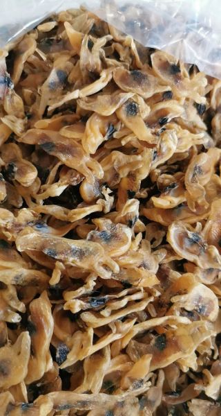 蛏子干怎么泡发_蛏子干怎么清洗才干净-第2张图片-山城妙识