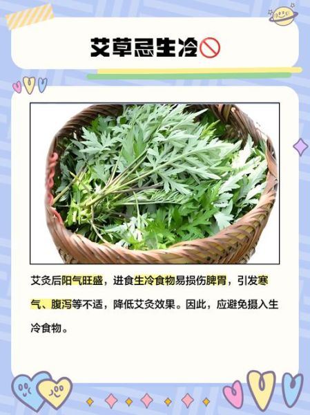艾草与什么食物相克_艾草不能和什么一起吃-第2张图片-山城妙识