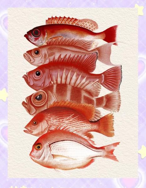 鲷鱼图片大全_鲷鱼种类怎么区分-第2张图片-山城妙识