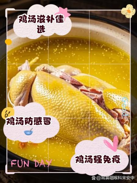 老母鸡汤放什么材料煲汤好喝_老母鸡汤最佳配料-第3张图片-山城妙识