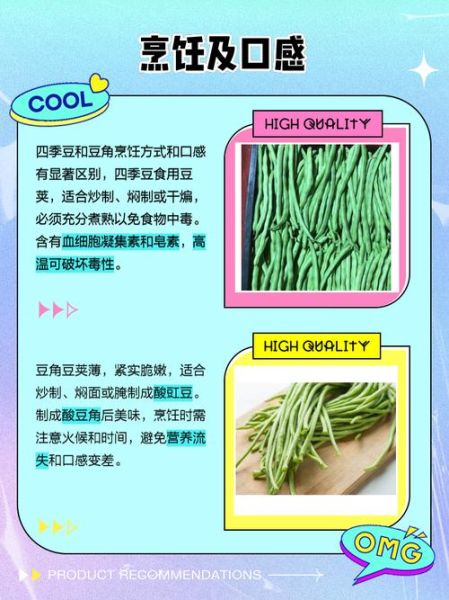 芸豆是不是四季豆_芸豆和四季豆的区别-第2张图片-山城妙识 芸豆是不是四季豆_芸豆和四季豆的区别-第2张图片-山城妙识