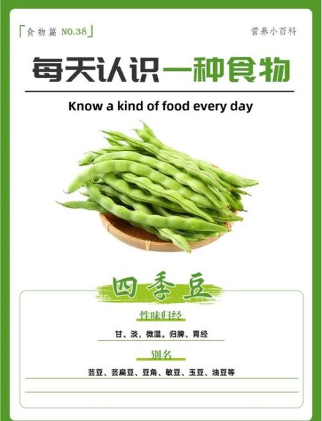 芸豆是不是四季豆_芸豆和四季豆的区别-第3张图片-山城妙识 芸豆是不是四季豆_芸豆和四季豆的区别-第3张图片-山城妙识