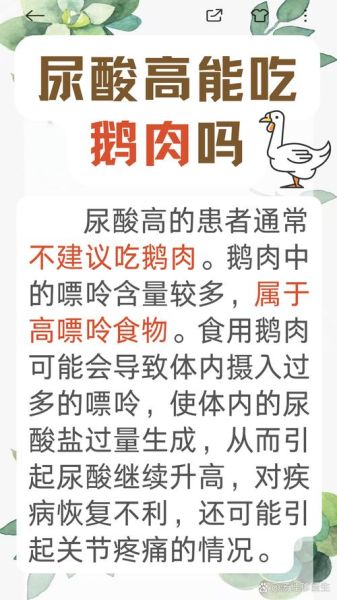 鹅肉嘌呤高吗_痛风能不能吃鹅肉-第1张图片-山城妙识