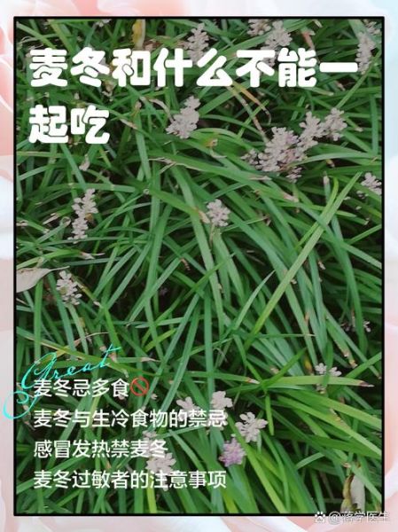 麦冬的副作用与禁忌_哪些人不能吃-第3张图片-山城妙识