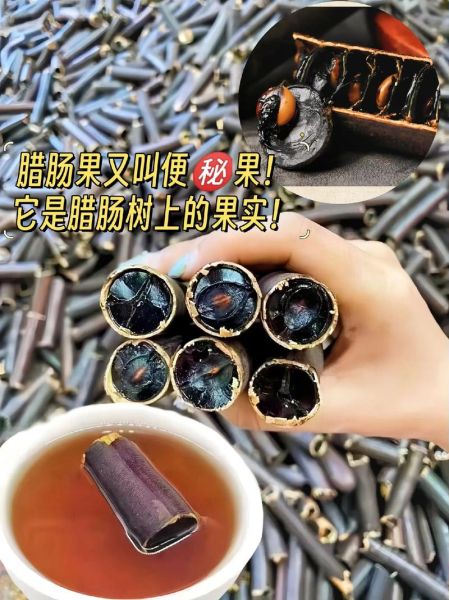 腊肠果的功效与作用_腊肠果能减肥吗-第1张图片-山城妙识