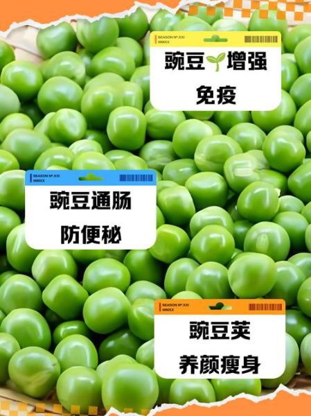 豌豆荚2021最新版本怎么下载_豌豆荚2021最新版本有哪些新功能-第3张图片-山城妙识