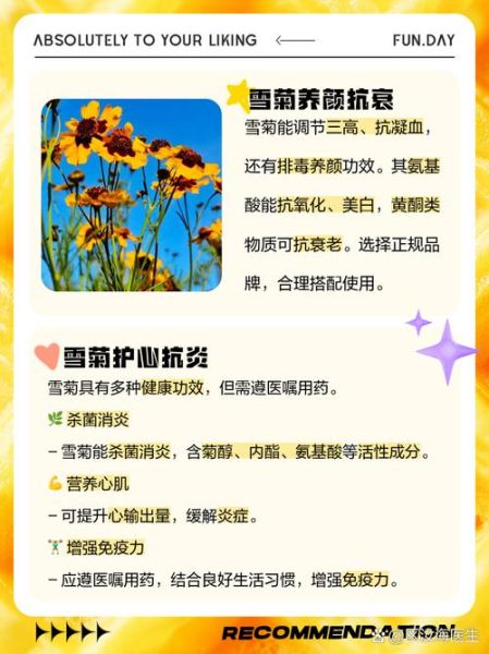 雪菊的功效与作用_雪菊的正确吃法-第1张图片-山城妙识