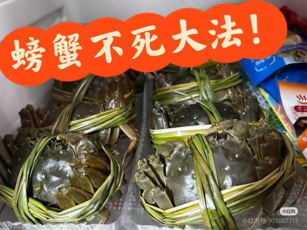 螃蟹吃不完怎么保存_活蟹隔夜还能吃吗-第2张图片-山城妙识
