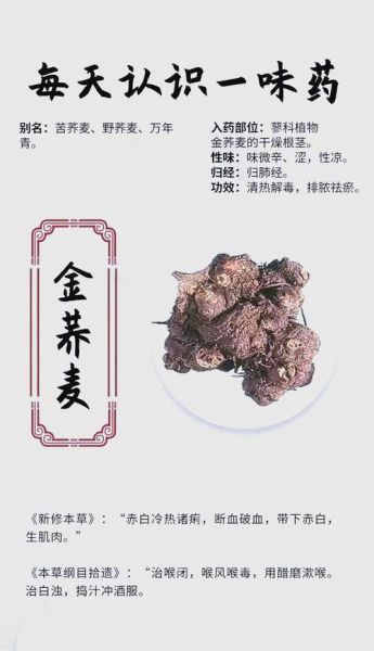 金荞麦的功效与作用_金荞麦能治疗哪些疾病-第2张图片-山城妙识
