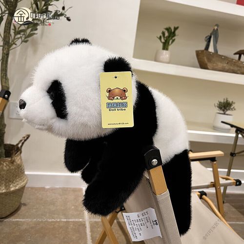 天才小熊猫是谁_为什么突然爆火-第1张图片-山城妙识