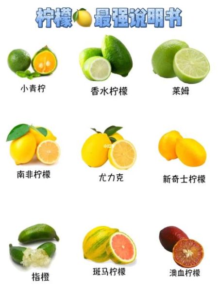 柠檬榨汁怎么榨不苦_鲜柠檬榨汁的正确步骤-第3张图片-山城妙识