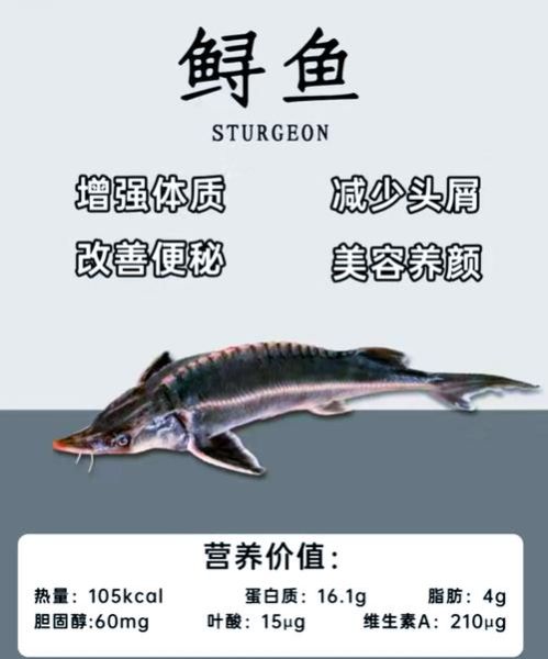 鲟鱼和鳇鱼哪个贵_价格差距有多大-第1张图片-山城妙识