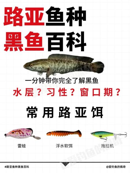 路亚黑鱼几月份最好_黑鱼开口时间-第2张图片-山城妙识