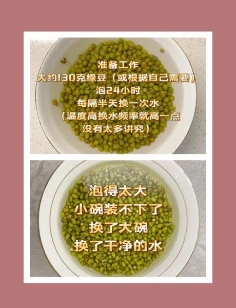 绿豆芽怎么发_家庭绿豆芽做法大全-第1张图片-山城妙识