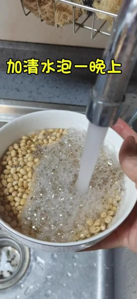 豆浆怎么做好喝_豆浆做法视频详细步骤-第2张图片-山城妙识 豆浆怎么做好喝_豆浆做法视频详细步骤-第2张图片-山城妙识