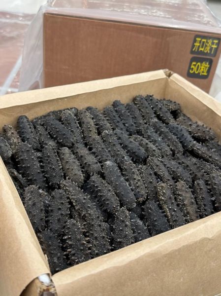 辽参价格多少钱一斤_2024最新行情-第3张图片-山城妙识 辽参价格多少钱一斤_2024最新行情-第3张图片-山城妙识