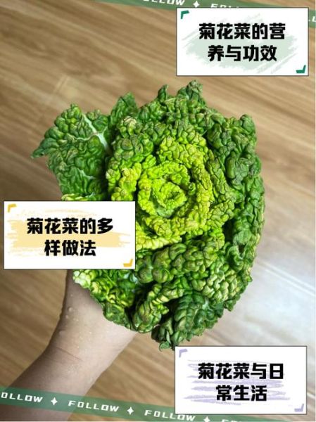 菊花菜怎么炒好吃_菊花菜的家常做法-第2张图片-山城妙识 菊花菜怎么炒好吃_菊花菜的家常做法-第2张图片-山城妙识