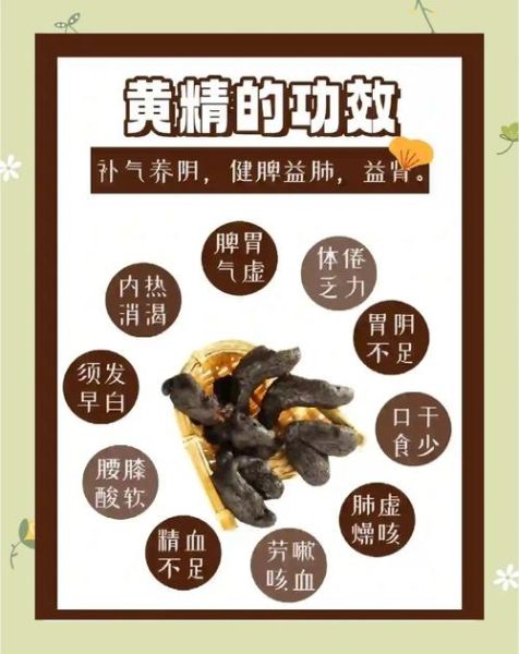 黄精的功效与作用禁忌_适合哪些人吃-第3张图片-山城妙识