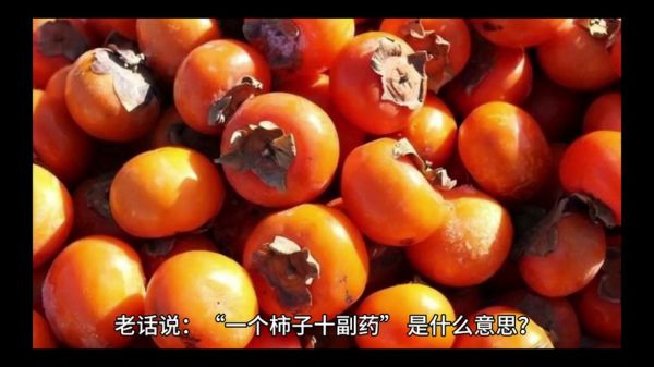 一个柿子十副药啥意思_柿子药用价值真的这么高吗-第2张图片-山城妙识