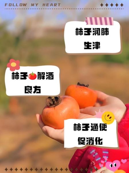 一个柿子十副药啥意思_柿子药用价值真的这么高吗-第1张图片-山城妙识