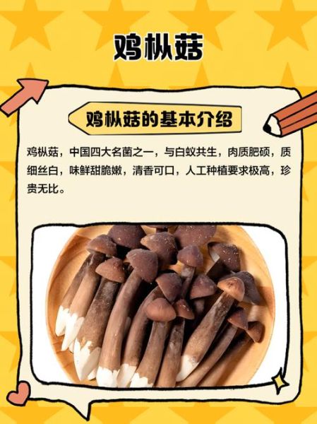 鸡枞多少钱一斤_鸡枞菌价格行情-第1张图片-山城妙识