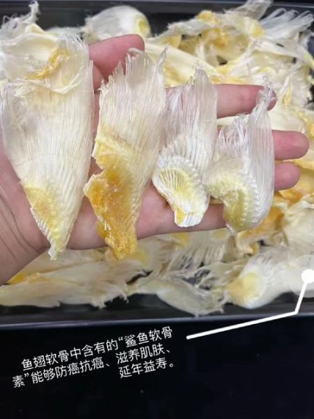 鱼翅价格多少一斤_鱼翅多少钱一斤-第1张图片-山城妙识