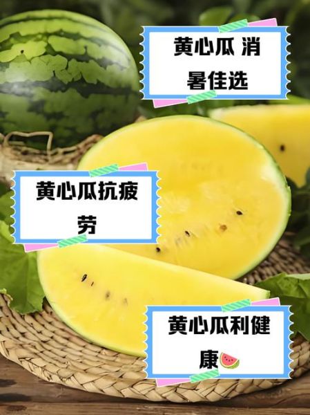 黄西瓜的功效与作用_黄西瓜营养价值高吗-第2张图片-山城妙识