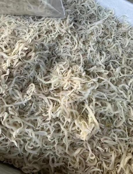 银鱼干怎么做汤_银鱼干汤的做法窍门-第1张图片-山城妙识