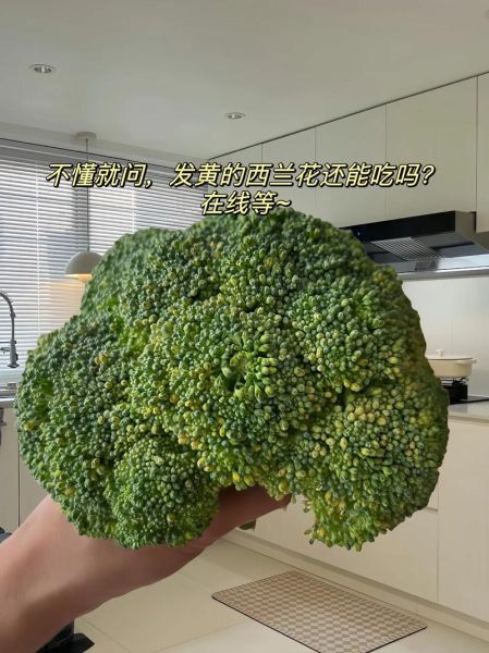 西兰花变黄吃了恶心_还能吃吗-第1张图片-山城妙识