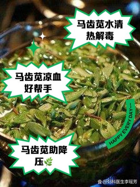 马齿苋煮水一天喝多少_马齿苋水能长期喝吗-第1张图片-山城妙识